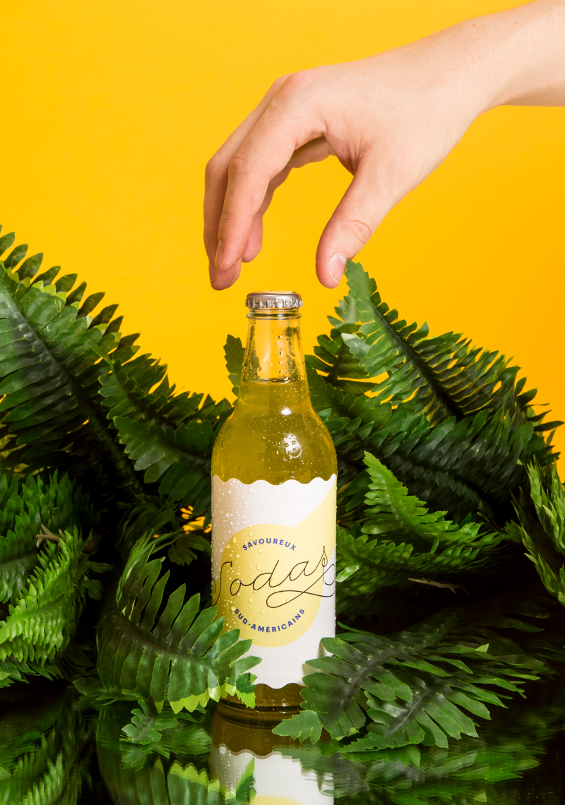 Projets – MamboMambo