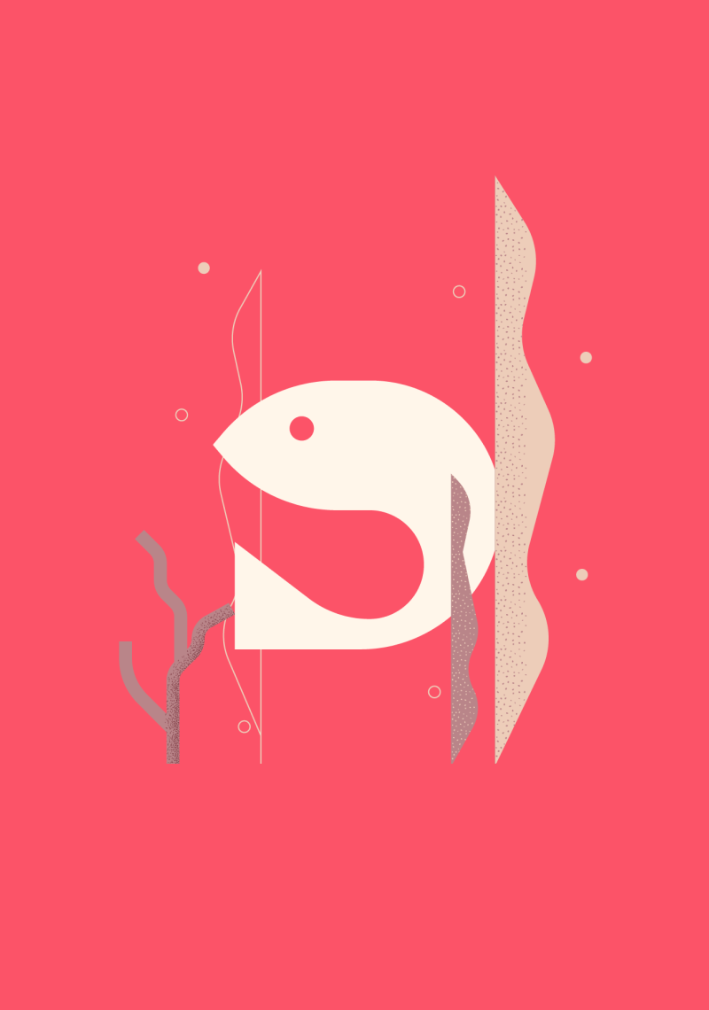 Projets – MamboMambo