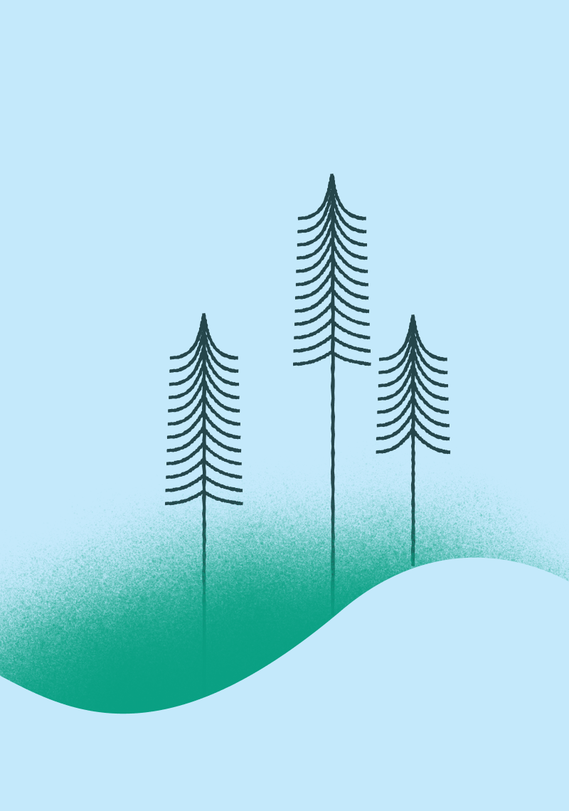 Projets – MamboMambo